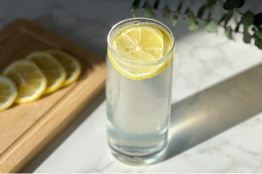 Homemade Lemon LaCroix Recipe – Soda Sense